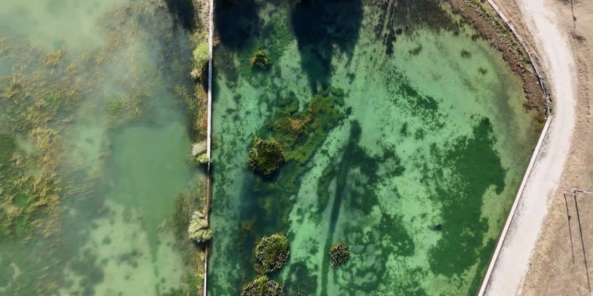 The ancient Roman pool in northeastern Turkuyie, dates back 2,000 years ...